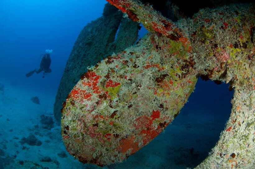 Maldives: Victory Shipwreck Scuba Dive - What to Expect During the Dive
