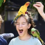 Maleny Botanic Gardens Bird Aviary Experience Ticket - Specific Highlights and Activities