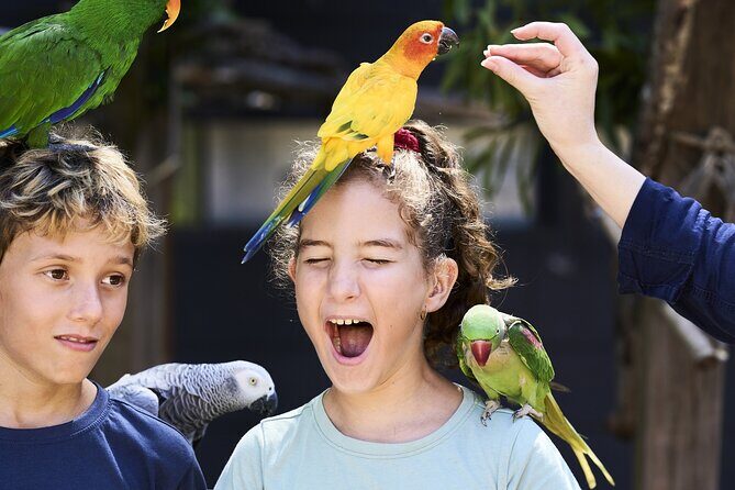 Maleny Botanic Gardens Bird Aviary Experience Ticket - Specific Highlights and Activities