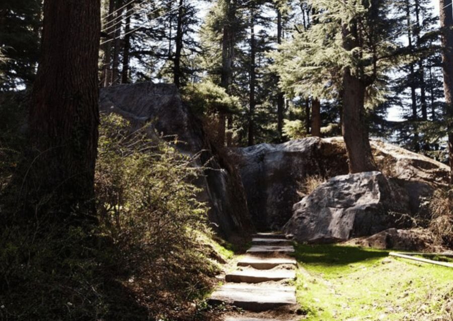 Manali Nature Walk (3 Hours Guided Trekking Experience) - Frequently Asked Questions