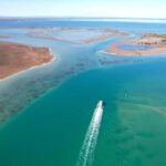 Mandurah: Dolphin & Giant Sightseeing Cruise - Why This Tour Is Worth Considering