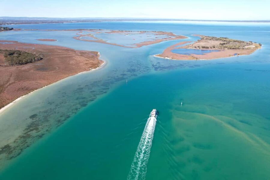 Mandurah: Dolphin & Giant Sightseeing Cruise - Why This Tour Is Worth Considering