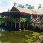 Mangrove to Lagoon Kayak and Paddleboard Adventure - Practical Details and Tips