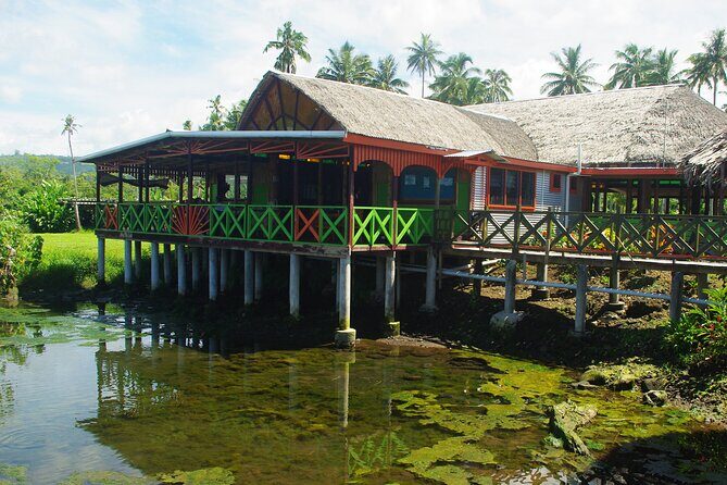 Mangrove to Lagoon Kayak and Paddleboard Adventure - Practical Details and Tips