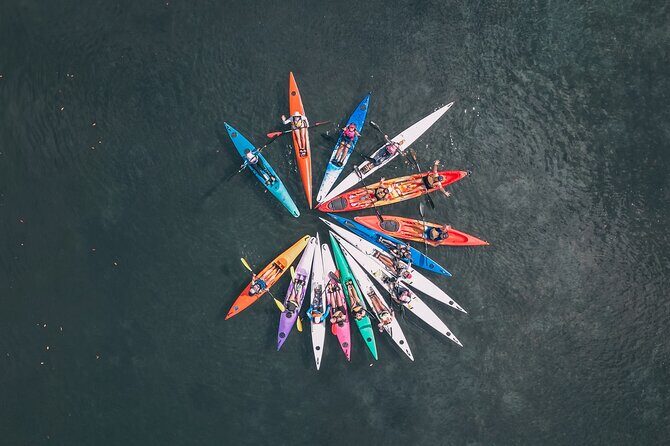 Mangroves and Mansions Guided Kayak Tour on the Noosa River - Authentic Insights from Travelers