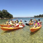 Manly: 3-Beach Kayak Tour with Lunch - The Value Proposition: Is It Worth It?