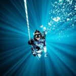 Manly: Beginner Freediving: Breath-Hold & Ocean Exploration - Final Thoughts: Who Should Sign Up?