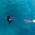 Manta Ray Experience - FAQ