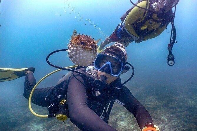 Mantanani Island Diving Paradise Tour from Kota Kinabalu - The Island Experience