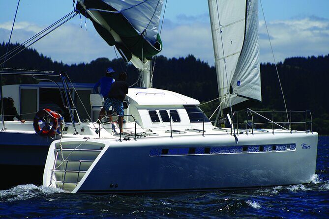 Maori Rock Carvings - Taupo Sailing Adventures -Tiua - Analyzing the Value