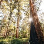 Margaret River 3 Day Escape - The Sum Up: Who Is This Tour Best For?