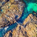Margaret River Day Tour With Wildlife Cruise & Wine Tasting - Authentic Experiences and Traveler Feedback