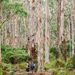 Margaret River Getaway 2 Day Tour - What’s Included and Why It Matters