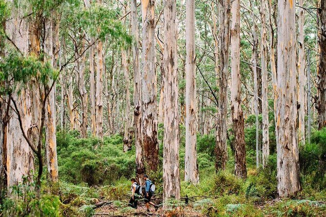 Margaret River Getaway 2 Day Tour - What’s Included and Why It Matters