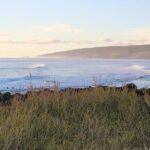 Margaret River Indulge and Discover Day Tour - Analyzing the Value