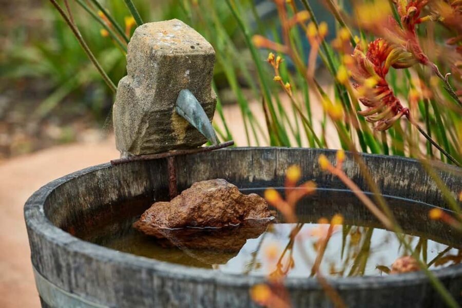 Margaret River: Whicher Ridge Immersive Wine Experience - Pricing & Value