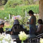 Margaret River Wine and Sights Discovery Tour from Busselton or Dunsborough - What Travelers Can Expect: The Experience and Atmosphere