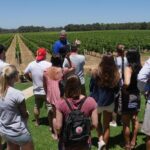 Margaret River Wine Tour: The Full Bottle - What Makes This Tour Stand Out?