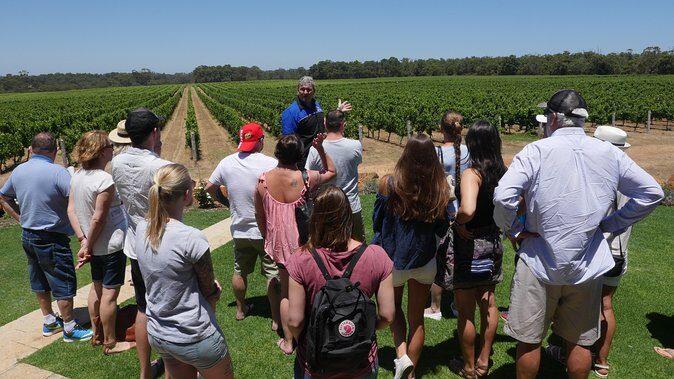 Margaret River Wine Tour: The Full Bottle - What Makes This Tour Stand Out?