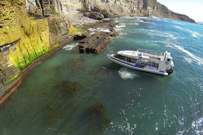 Maria Island Ferry - Hobart Bus Connection (Depart Hobart 6:45am) - The Experience: What to Expect on this Shuttle Service