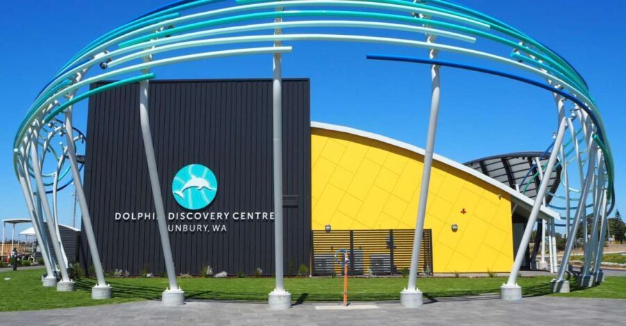 Marine Discovery Centre - The Wild Dolphin Viewing Opportunity