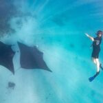 Marine Eco Safari - Swim with Manta Rays - The Itinerary in Detail