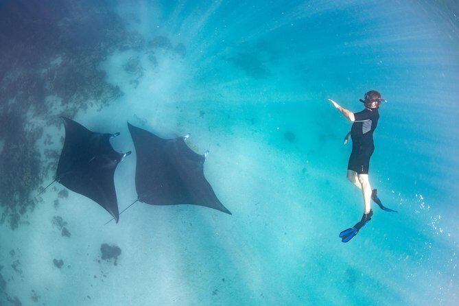 Marine Eco Safari - Swim with Manta Rays - The Itinerary in Detail