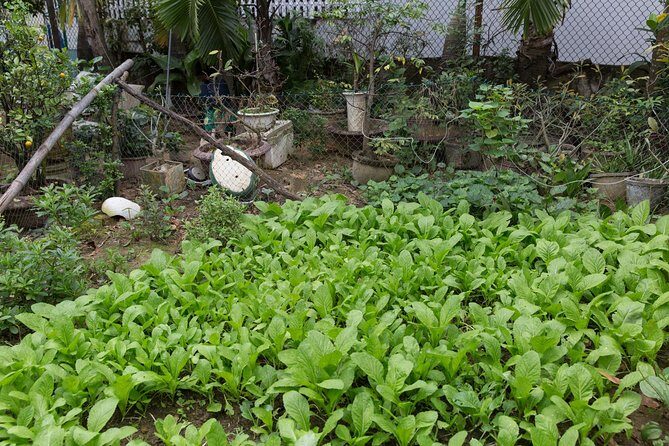 Market Tour and Cooking Class with a Local in Da Nang - FAQ