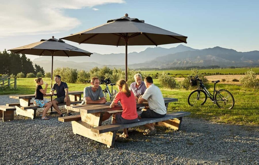 Marlborough: Full-Day Self-Guided Biking Wine Tour - What to Expect: A Detailed Breakdown