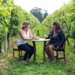 Marlborough Half Day Wine Tour From Blenheim - Key Points