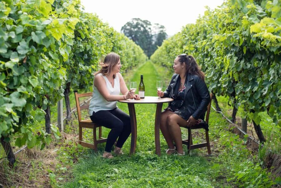 Marlborough Half Day Wine Tour From Blenheim - Key Points