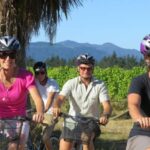 Marlborough: Half Guided and Half Self-Guided Bike Wine Tour - Detailed Breakdown of the Tour Experience