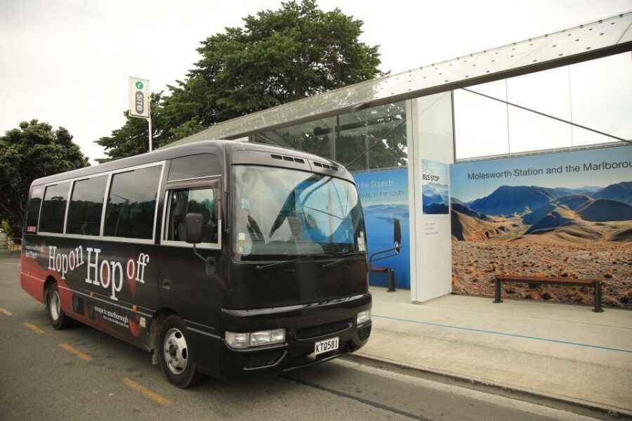 Marlborough: Hop-On Hop-Off Wine, Brewery, and Wonders Tour - The Sum Up