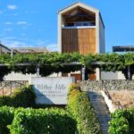 Marlborough Private Classic Wine Tour - Who Will Love This Tour?