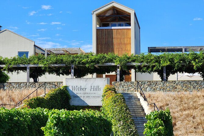 Marlborough Private Classic Wine Tour - Who Will Love This Tour?