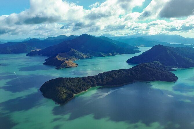Marlborough Sounds Scenic - Why This Tour Might Be Right for You