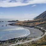 Martinborough Wine and Wild Coast Tour from Wellington - What’s Included and How It Enhances Your Experience