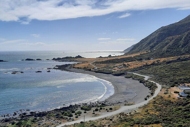 Martinborough Wine and Wild Coast Tour from Wellington - What’s Included and How It Enhances Your Experience