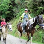 Matakana Art & Horse Riding Experience Private Tour From Auckland - Valuing the Experience