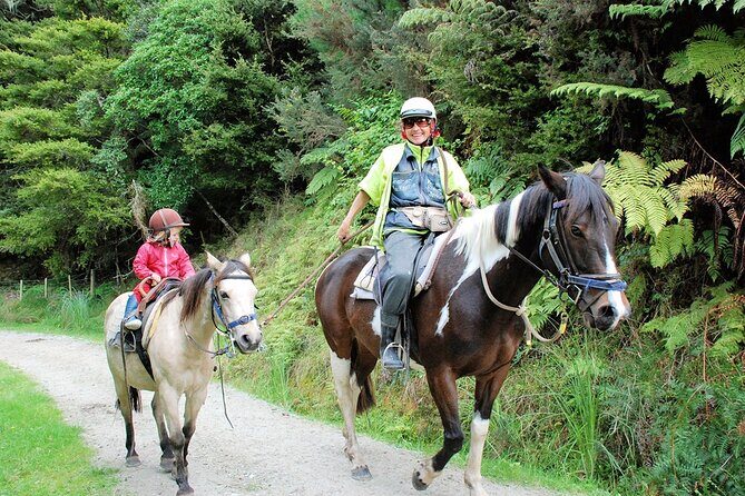 Matakana Art & Horse Riding Experience Private Tour From Auckland - Valuing the Experience