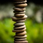 Matakana Art & Vineyard Experience incl. Lunch & Wine Tasting Tour From Auckland - The Value of This Experience