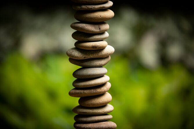 Matakana Art & Vineyard Experience incl. Lunch & Wine Tasting Tour From Auckland - The Value of This Experience