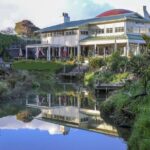 Matakana Riverside Market, Beaches and Winery Tour from Auckland - Authentic Experiences and Highlights