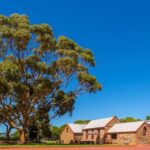 McLaren Vale and Glenelg Wine Tasting and Sightseeing (Half-day Afternoon) - The Itinerary in Detail