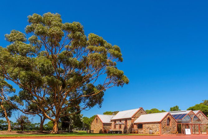 McLaren Vale and Glenelg Wine Tasting and Sightseeing (Half-day Afternoon) - The Itinerary in Detail