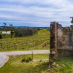 McLaren Vale: E-Bike Rental to Explore the Vineyards - The Itinerary in Detail