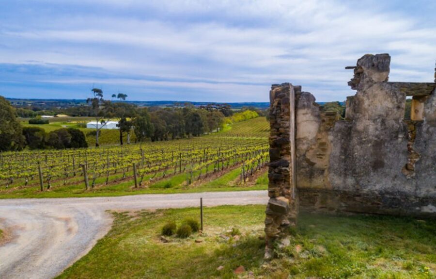 McLaren Vale: E-Bike Rental to Explore the Vineyards - The Itinerary in Detail