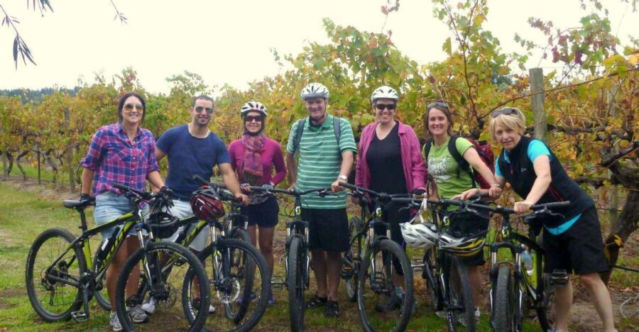 Mclaren Vale Hills Vines and Wines Bike Tour from Adelaide - What Makes This Tour Stand Out?