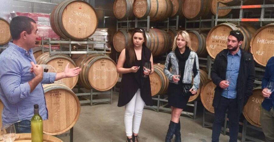 McLaren Vale: Small Group Wine Tour (Includes Lunch) - Itinerary Breakdown