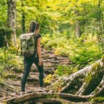 Mcleodganj Nature Trek (3 Hours Guided Walking Tour) - The Experience We Imagine You’ll Have